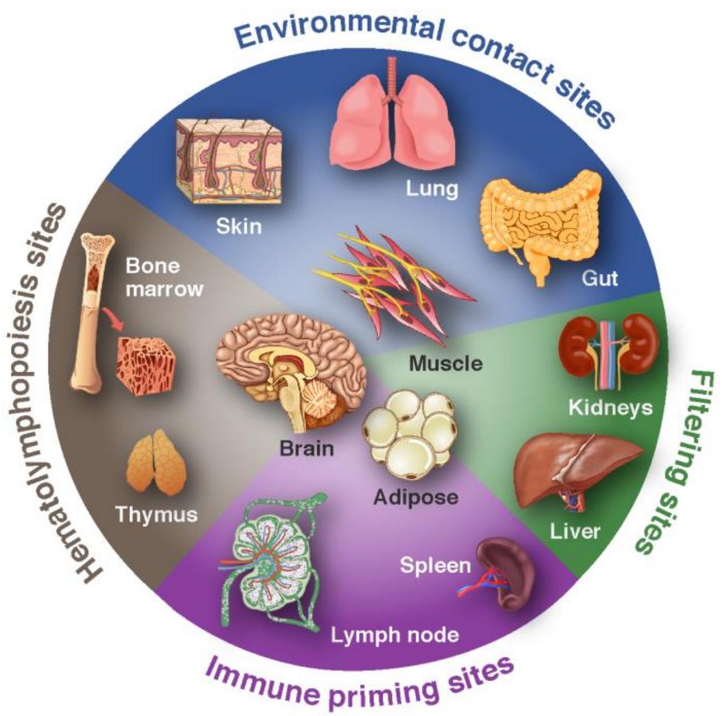 An immune cell atlas. an immune cell atlas will profile