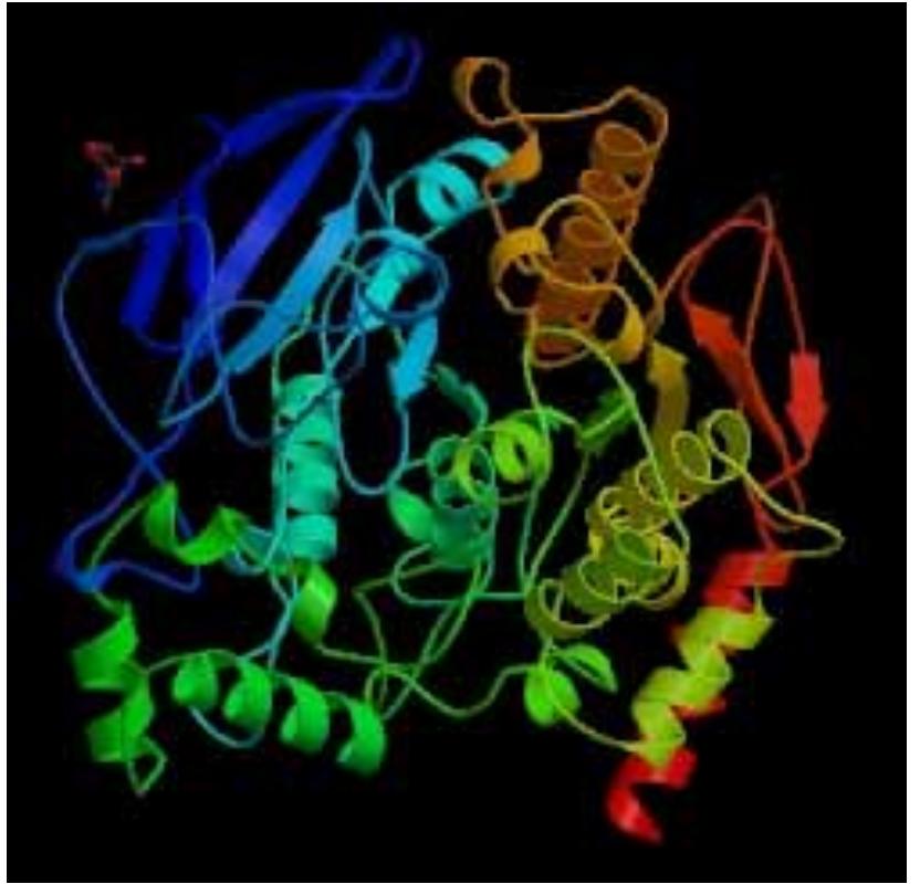 Crystal structure of torpedo californica ache (1ea5)