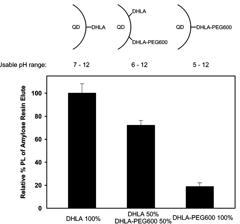 Amylose resin assay testing the ability of mbp-5his to