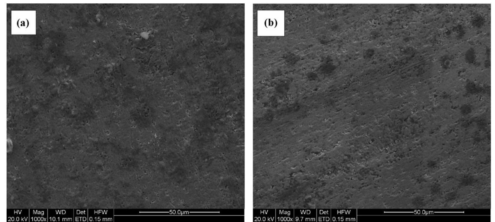 Sem micrographs of anode surfaces (a) before electrolysis