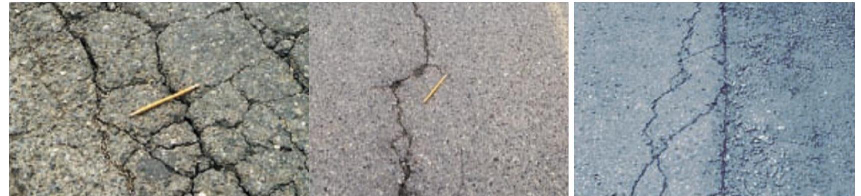 S (2): shows the different types of cracks; alligator