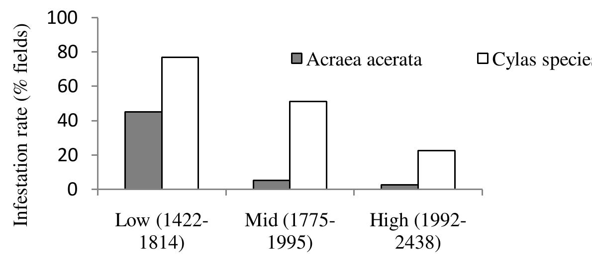 Elevation levels of surveyed sweetpotato fields (m a.s.1.)