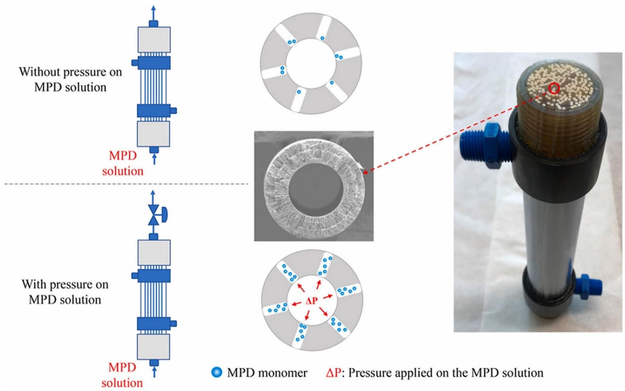 Fabrication of tfc hf membrane module with and without