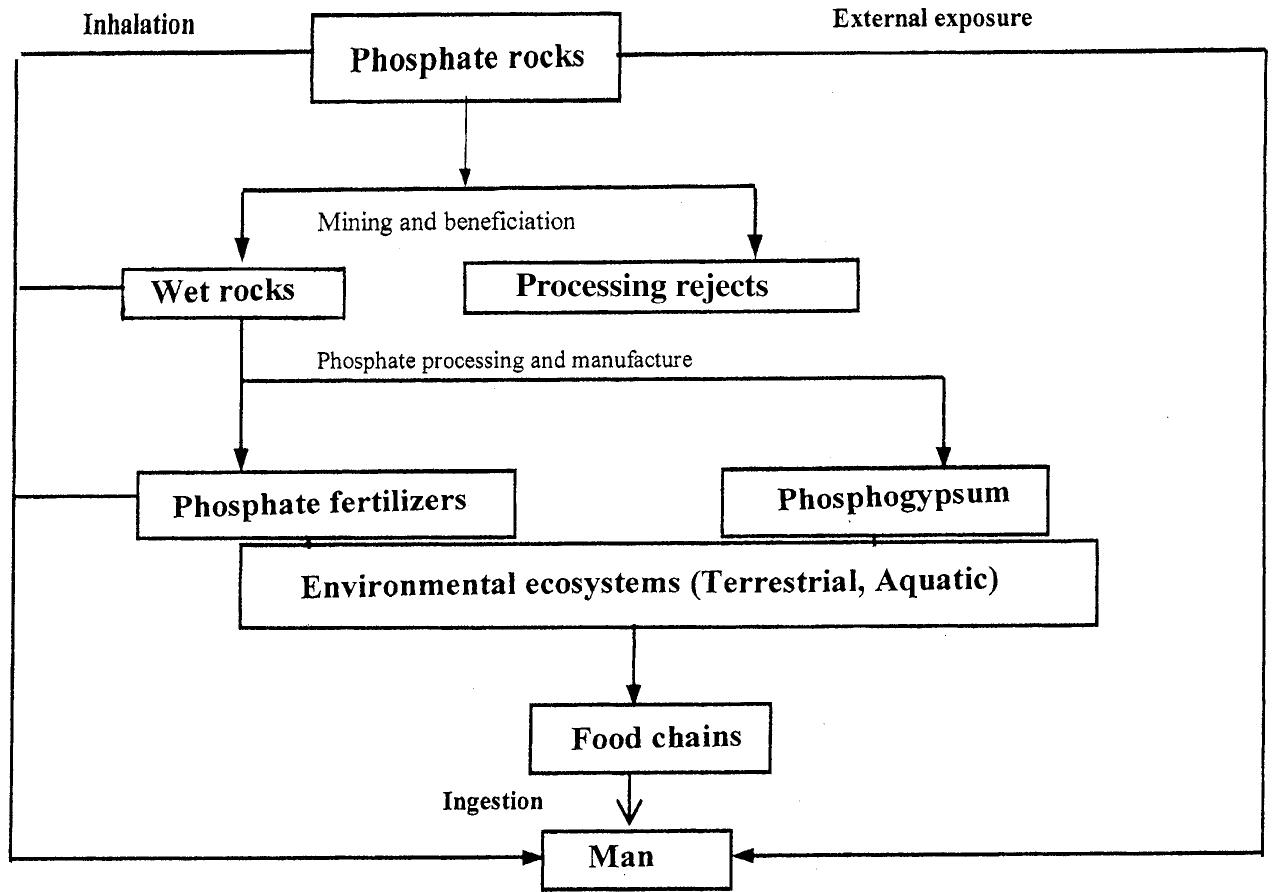 Environmental pathways of natural radionuclides from