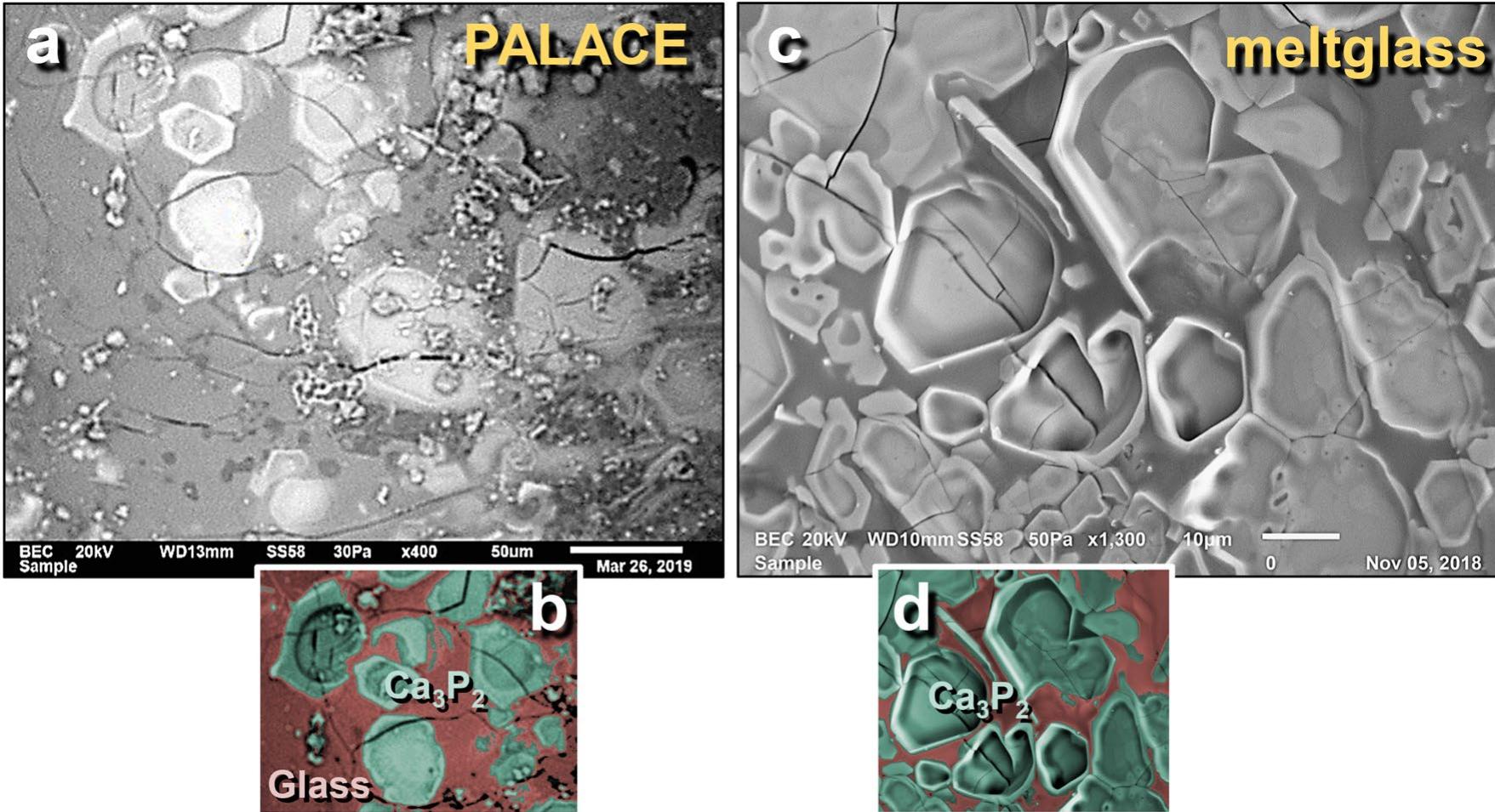 Sem images of calcium phosphide crystals in vesicles of