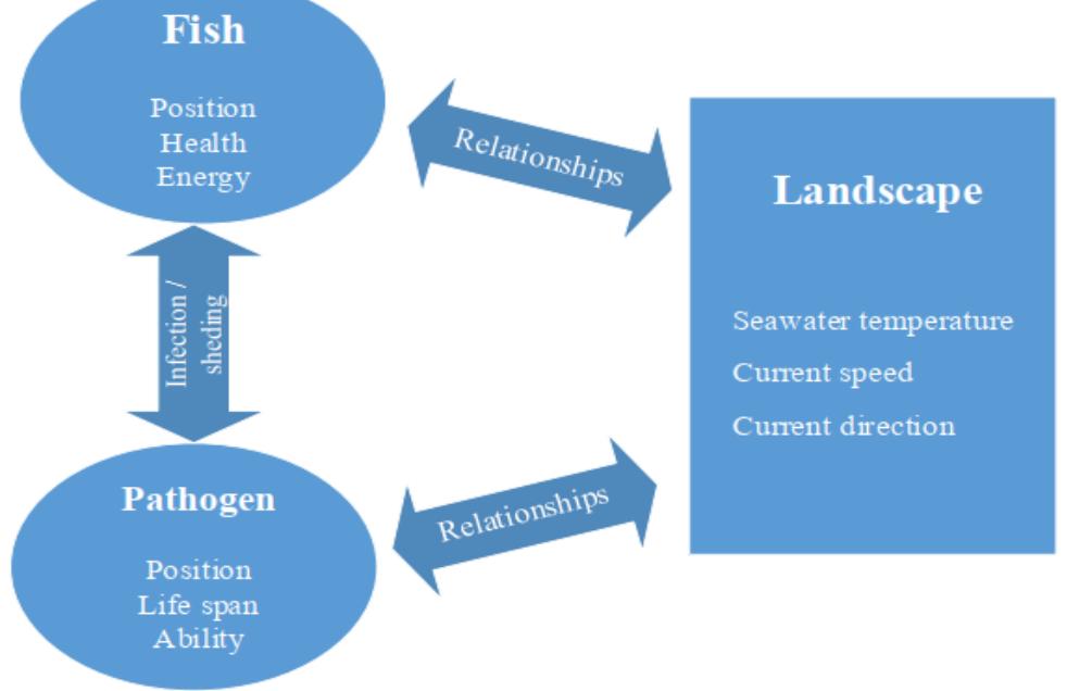 Agent-based model of fish disease spread