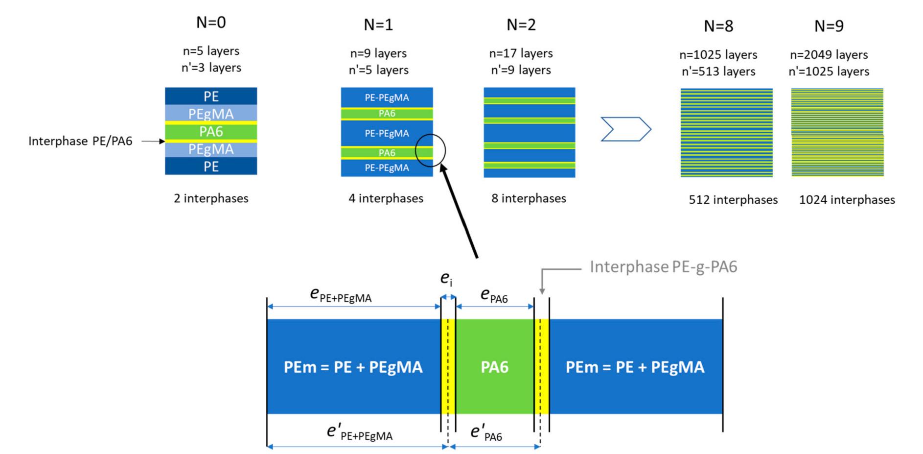 Schematic representation of the three phases