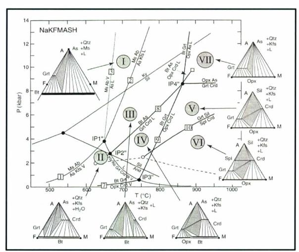 -6. nakfmash petrogenetic grid with afm diagrams (spear ef