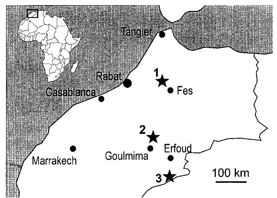 Map of morocco showing location of the main early late