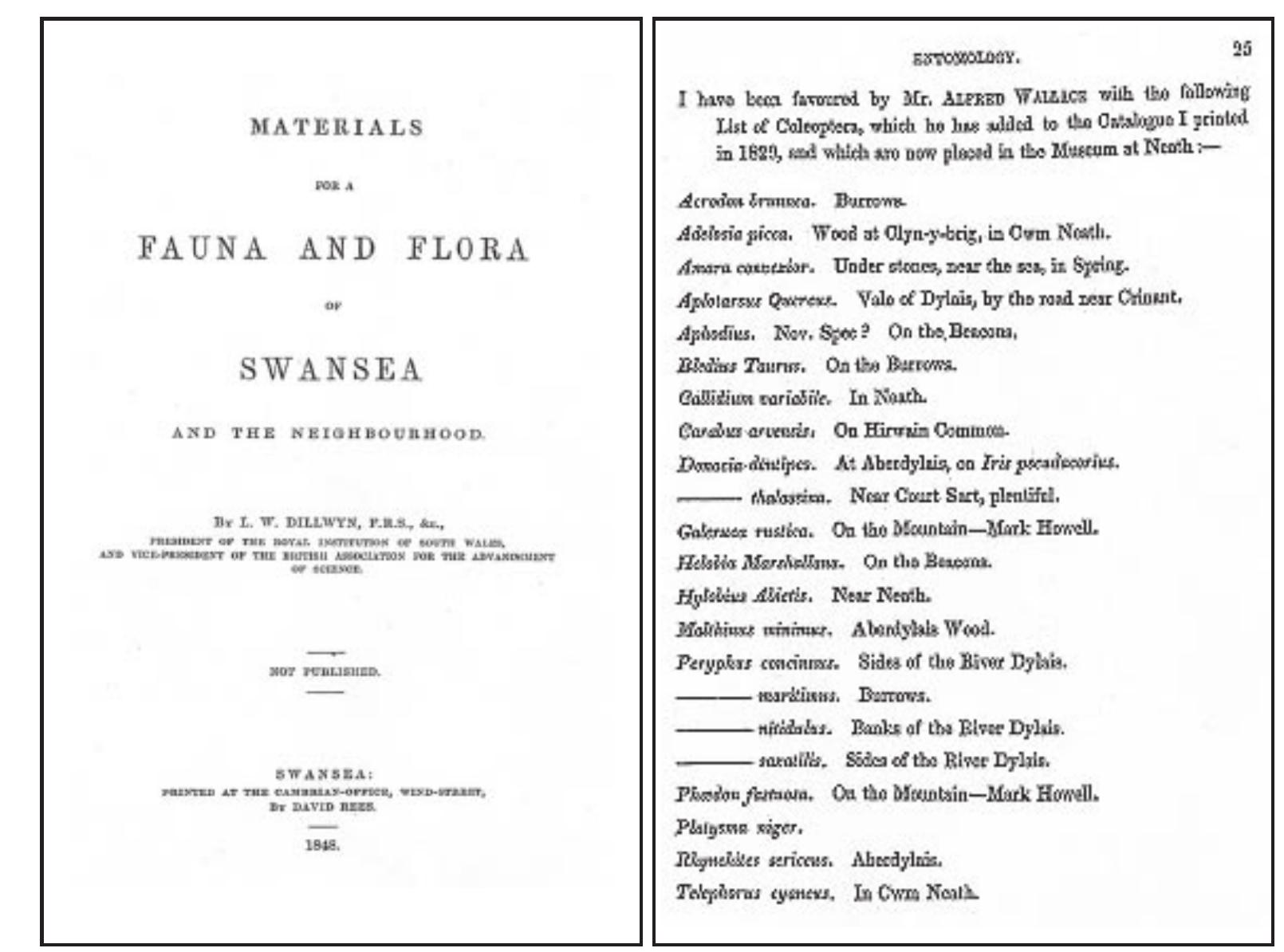 The title page of dillwyn (1848) and wallace’s list of