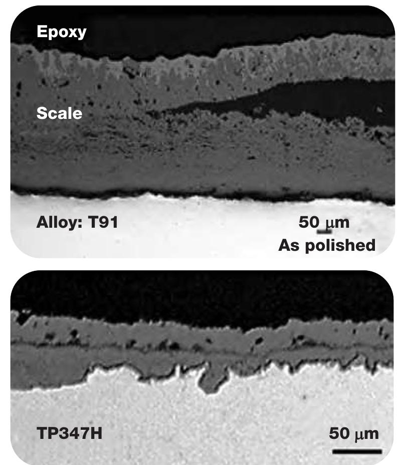 structures of oxide scales (polished cros: sections)