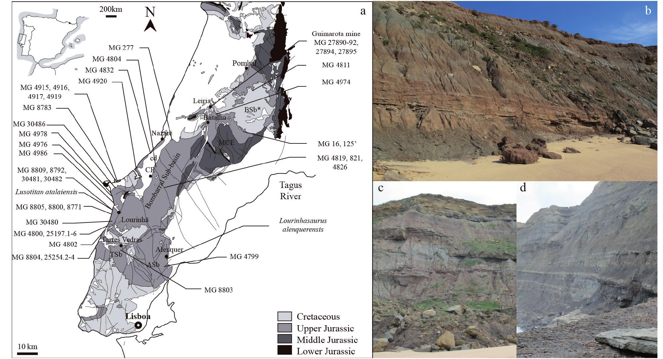 - a. geological map (adapted from oliveira et a/., 1992)