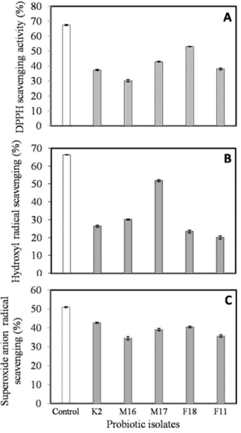 a) antioxidant activity potential of probiotic lab