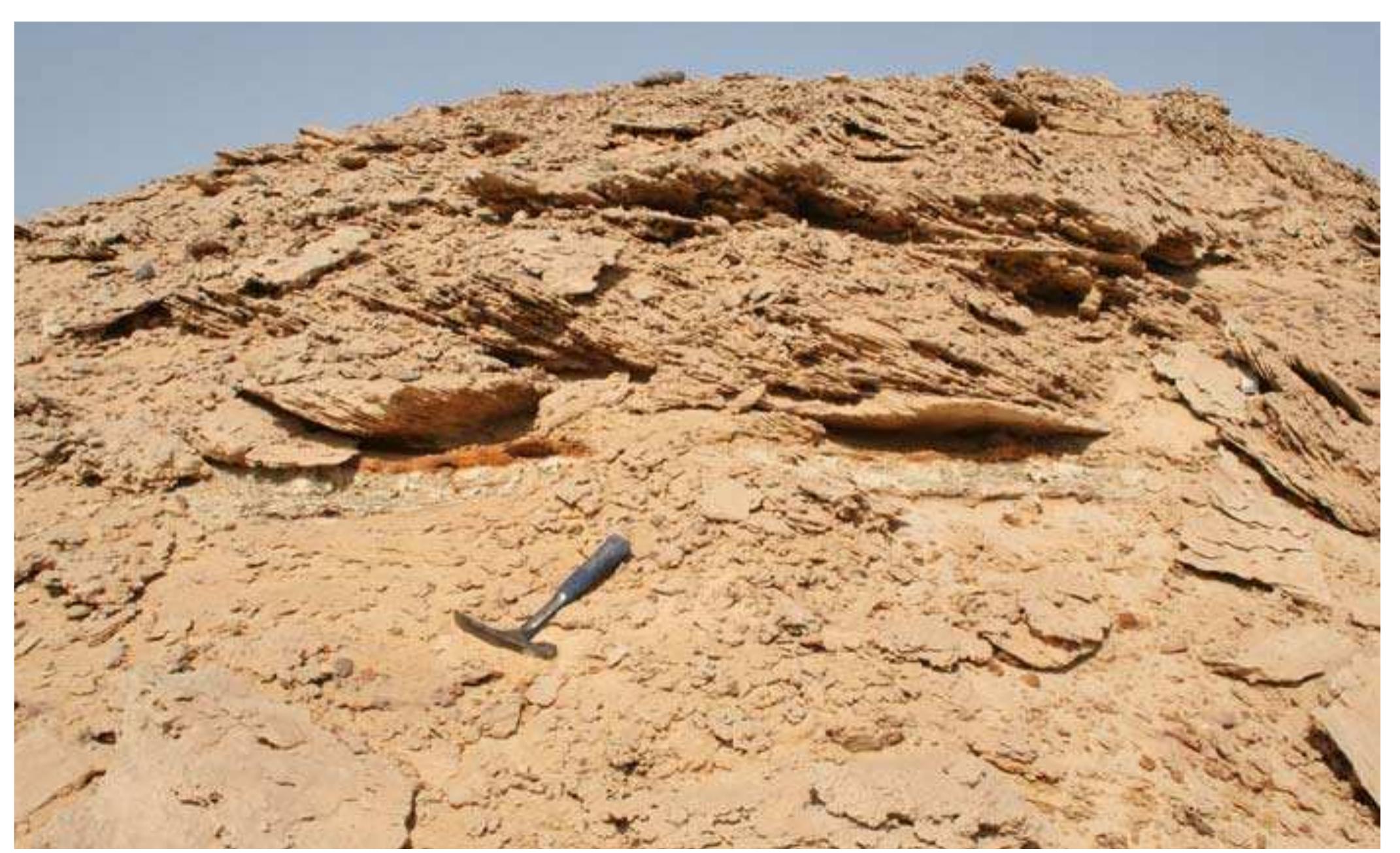 Cross-stratified sandstone and shale layers in the upper