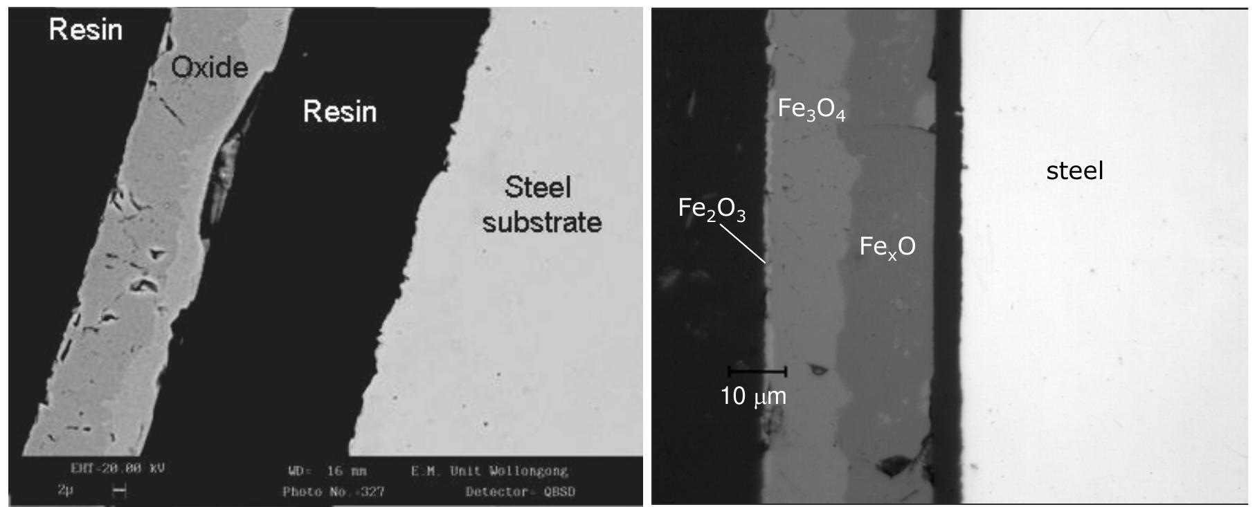 27. images of a scale spalled from the surface of a