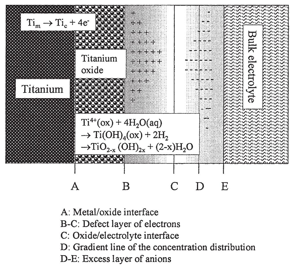Schematic structure of the electrical double layer at the