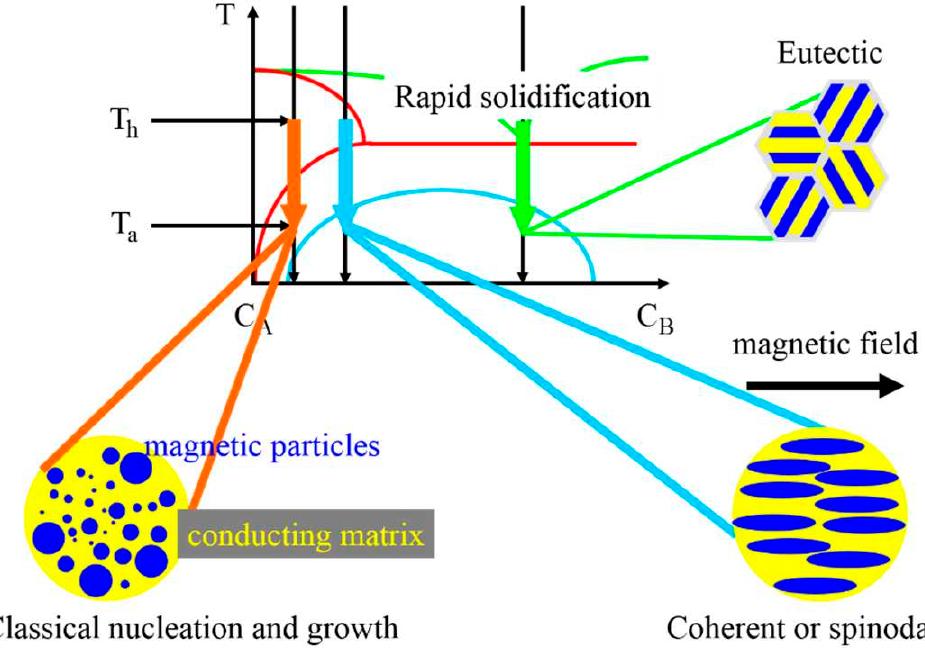Schematic phase diagram of two metals a (magnetic) and b