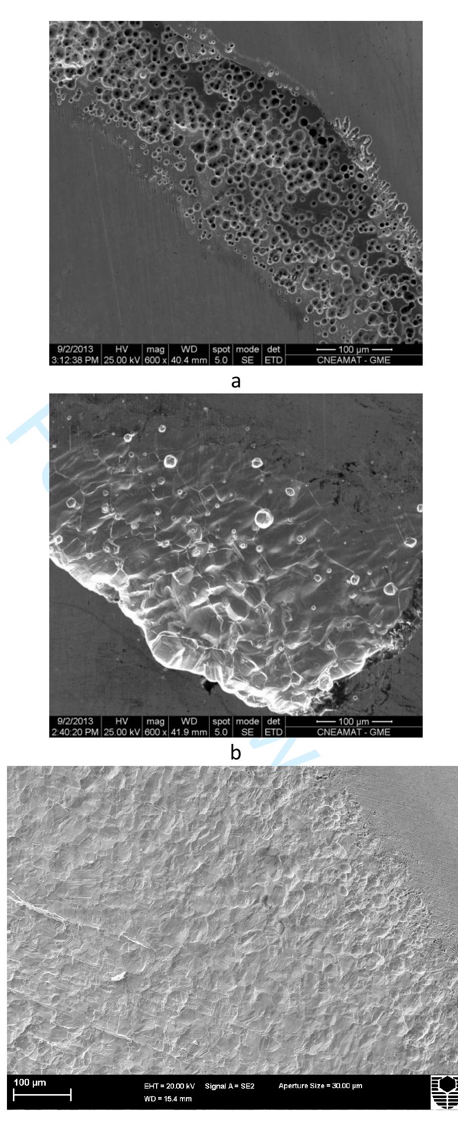 —different crevice attack morphologies (a) pitting corrosion