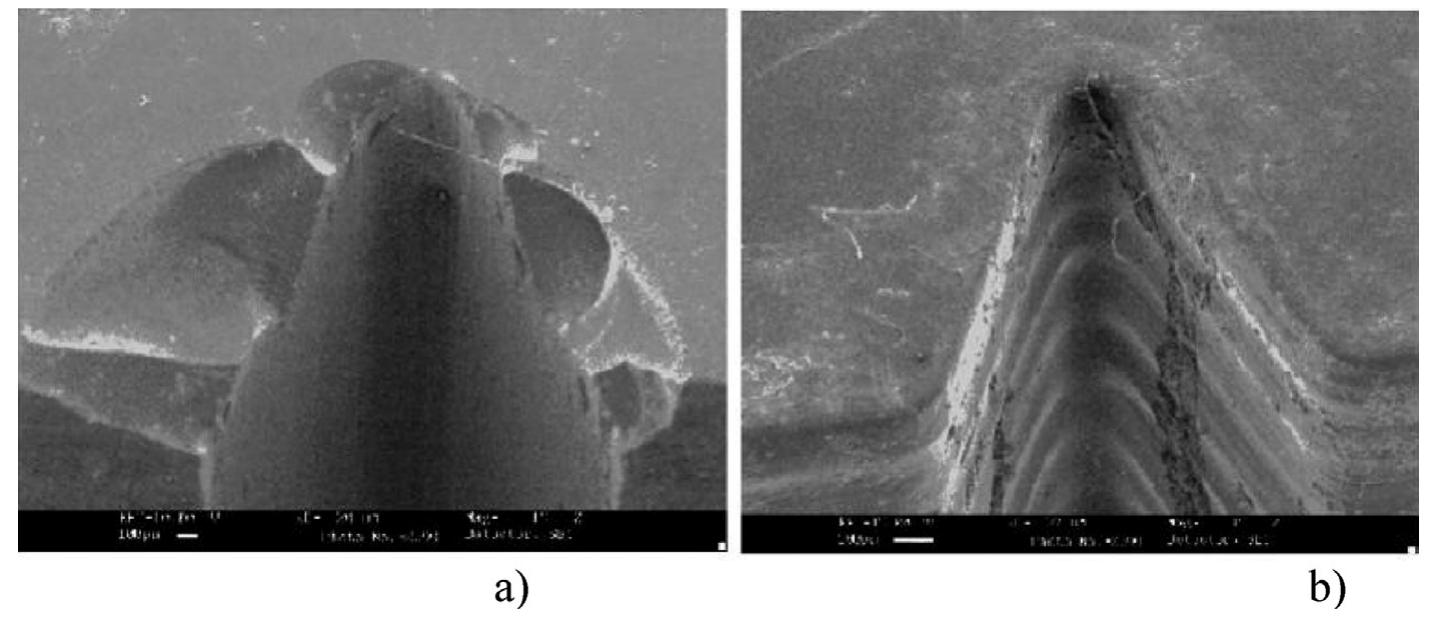 Scanning electron microscope (sem) images of a)