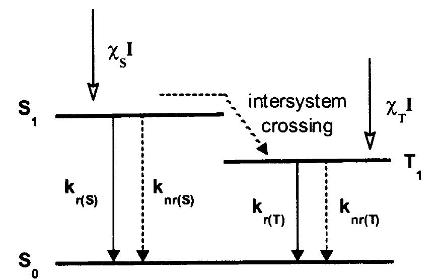 13: schematic diagram showing the formation and decay of