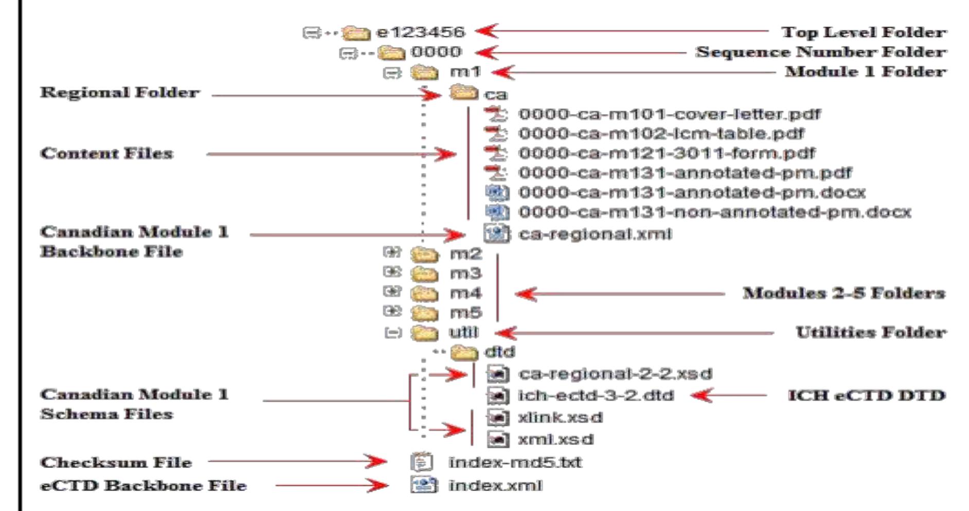Folder structure for ectd application’®
