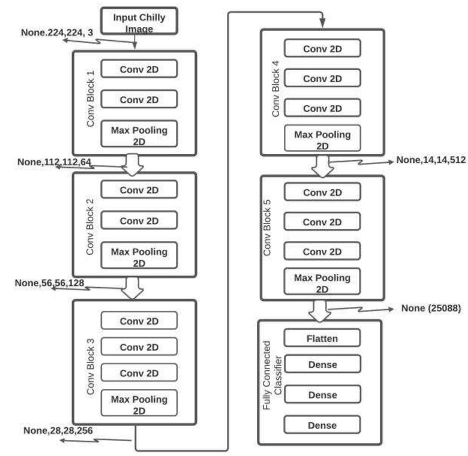 Vgg16 chilli schematic structure. the model architecture