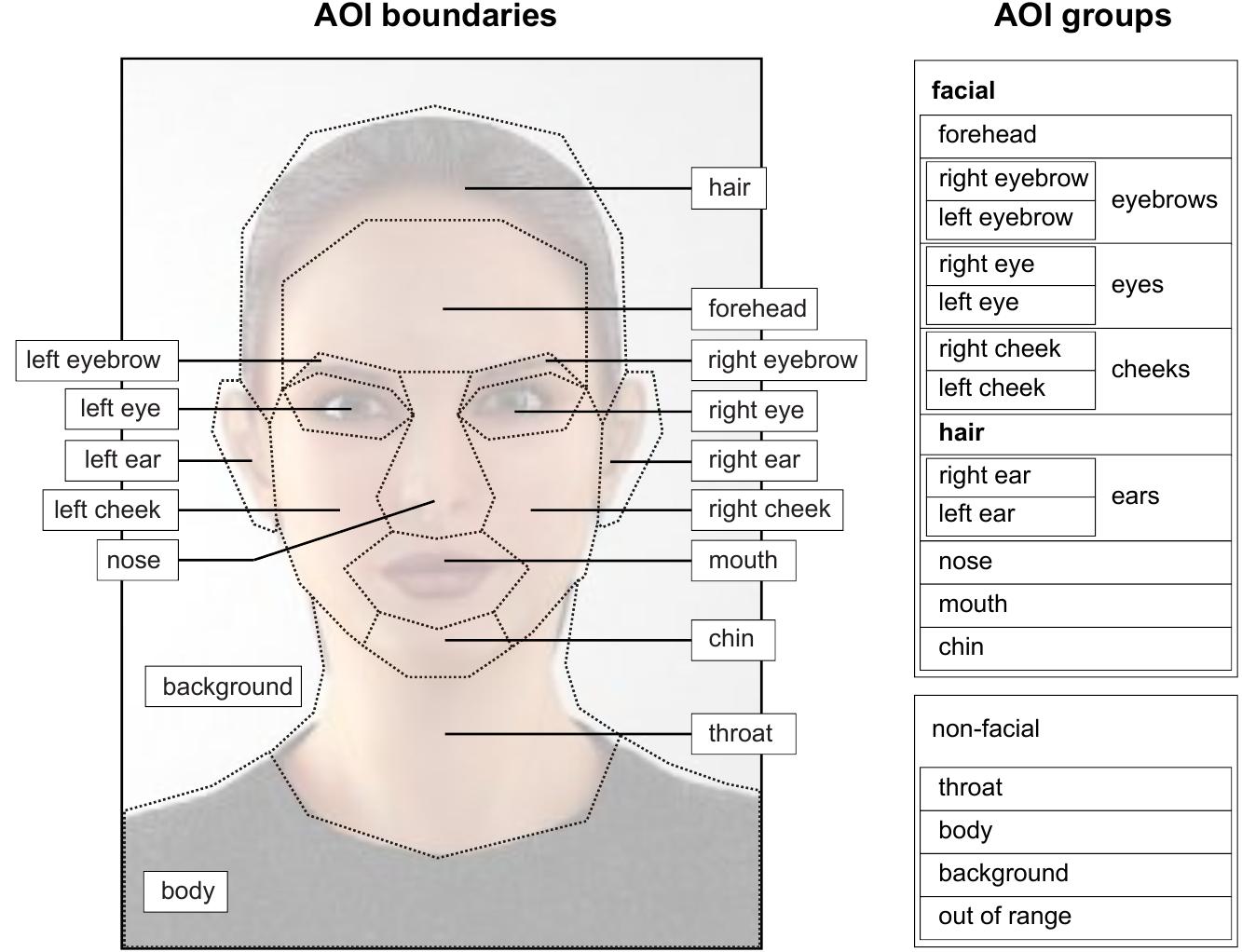 1: aoi boundary template for the facial regions. predefined