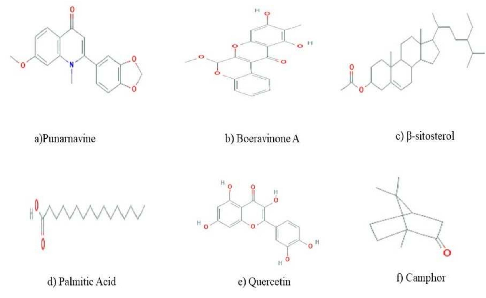 Chemical Structures Of Some Important Phytochemicals Of