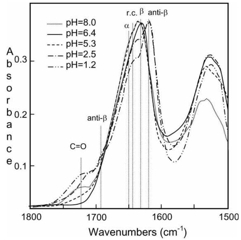 The amide i region in the ftir-atr spectra of egg albumin