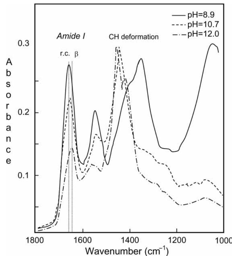The ftir-atr spectra of egg albumin films in the region