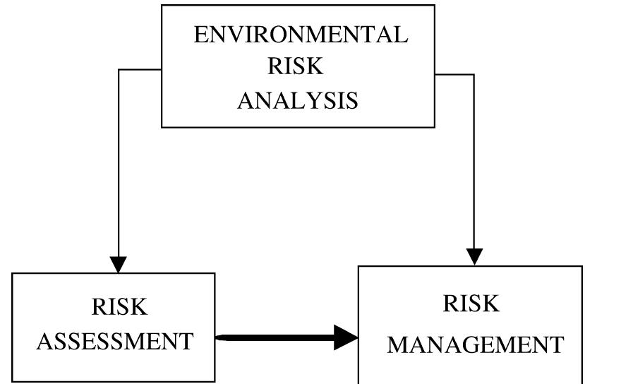 11 risk assessment and risk management as elements of