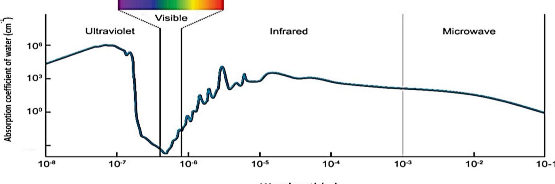 Absorption coefficient of pure seawater for different