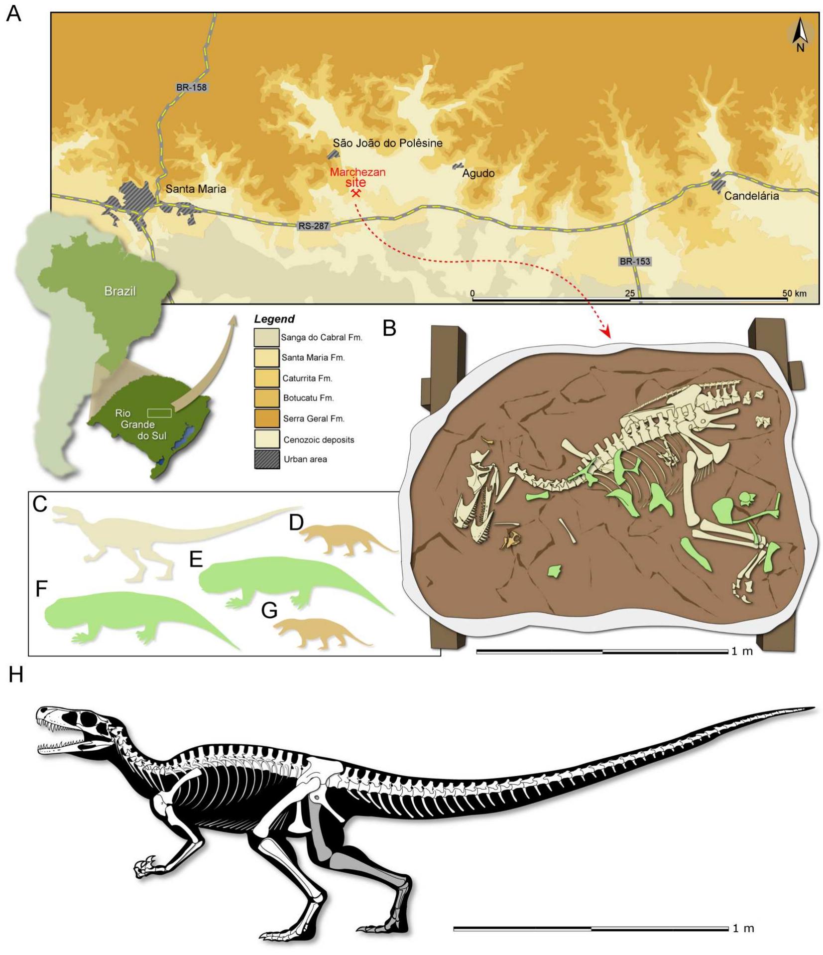 Study area and specimen. (a) location map of the marchezan