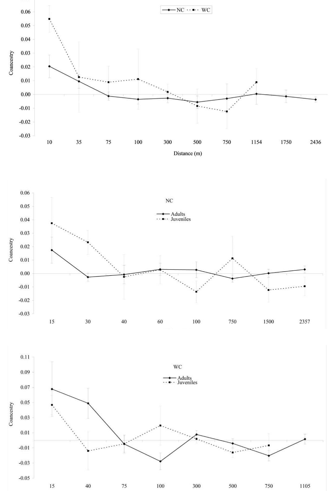 Correlogram of the spatial genetic structure in the fazenda