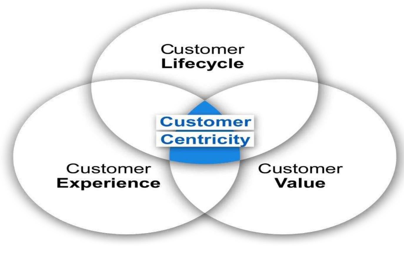 (PDF) Strategy Behind the Business Success of Amazon: A Case Study