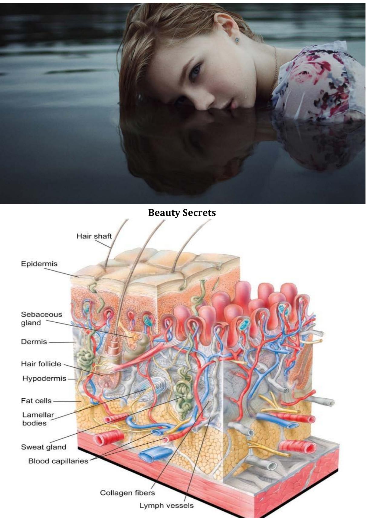 Structure of human skin. the outer layer of the epidermis,