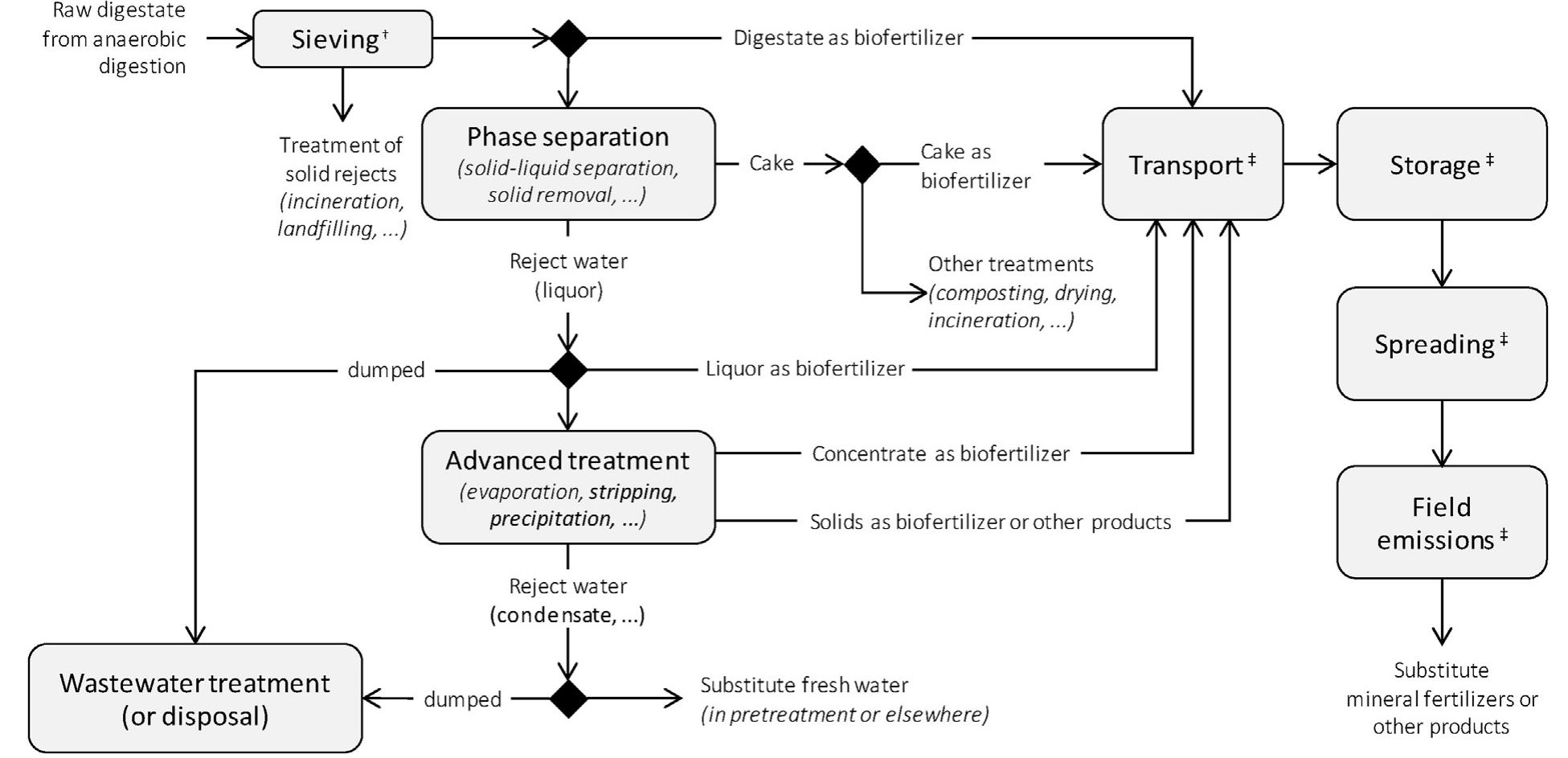 Process flow of digestate treatment, including phase