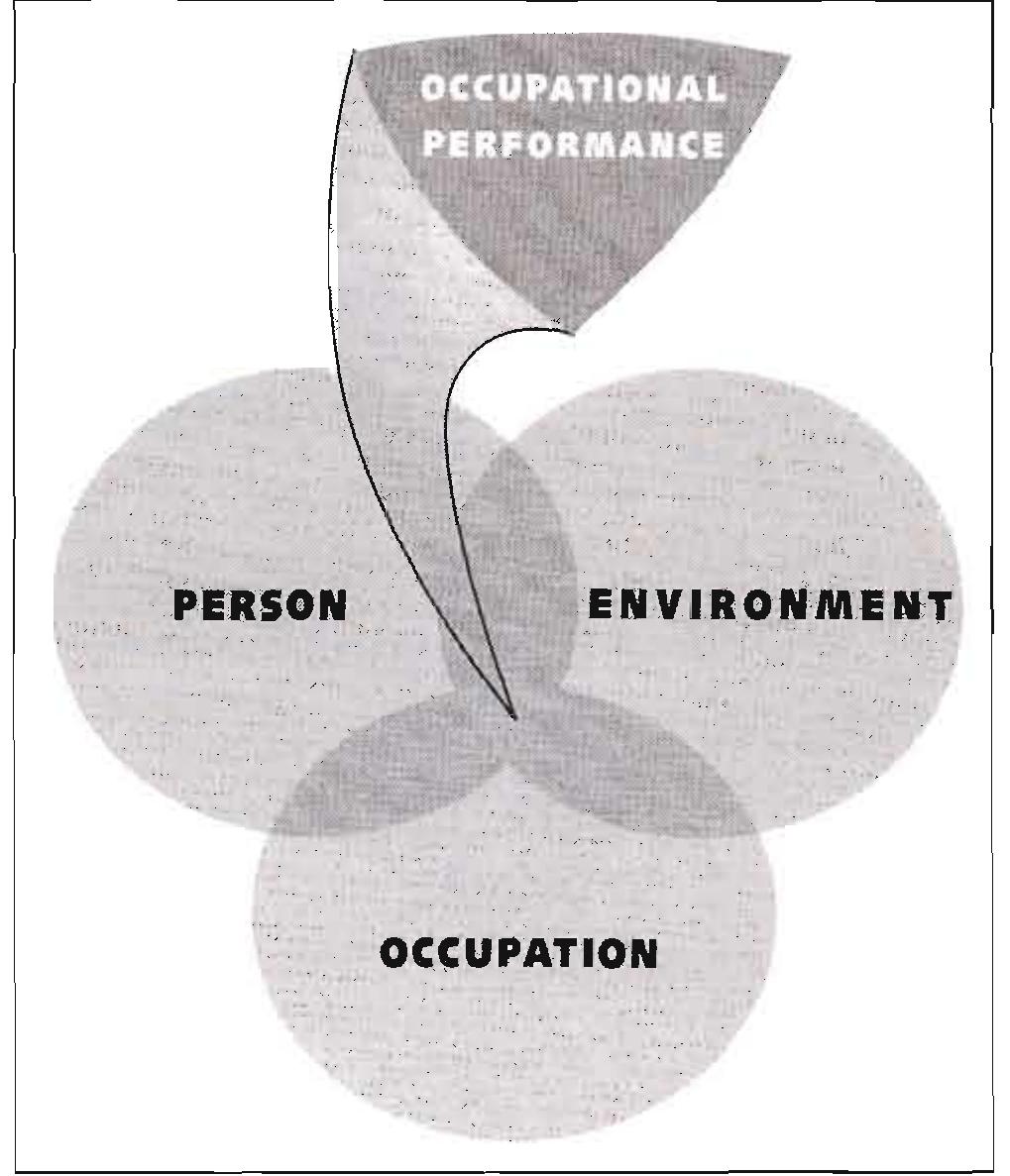 Occupational performance. note. adapted with permission