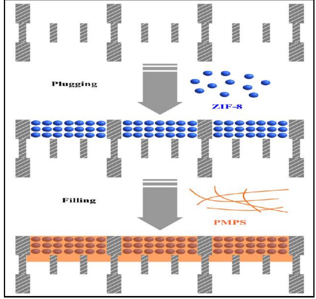 -16. schematic illustration of the preparation procedure of