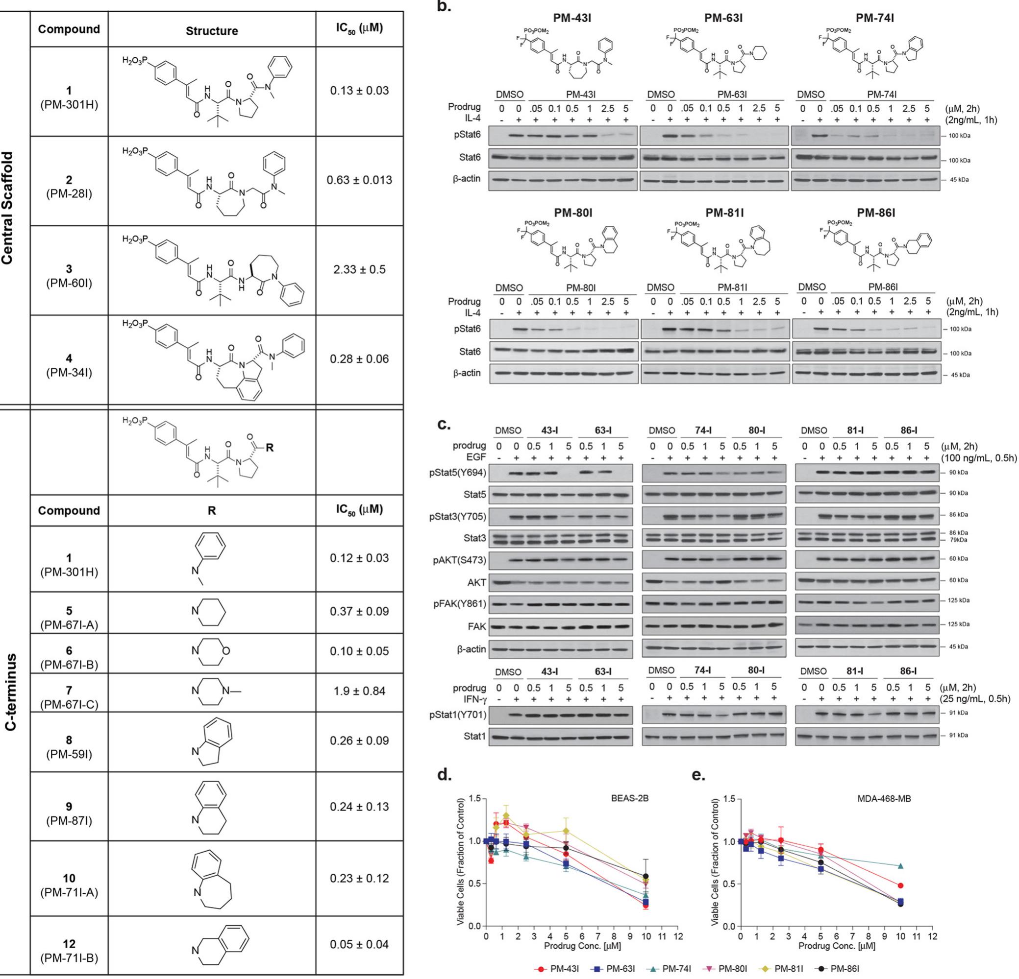 /n vitro stat6 inhibitor screen. g, structural variations