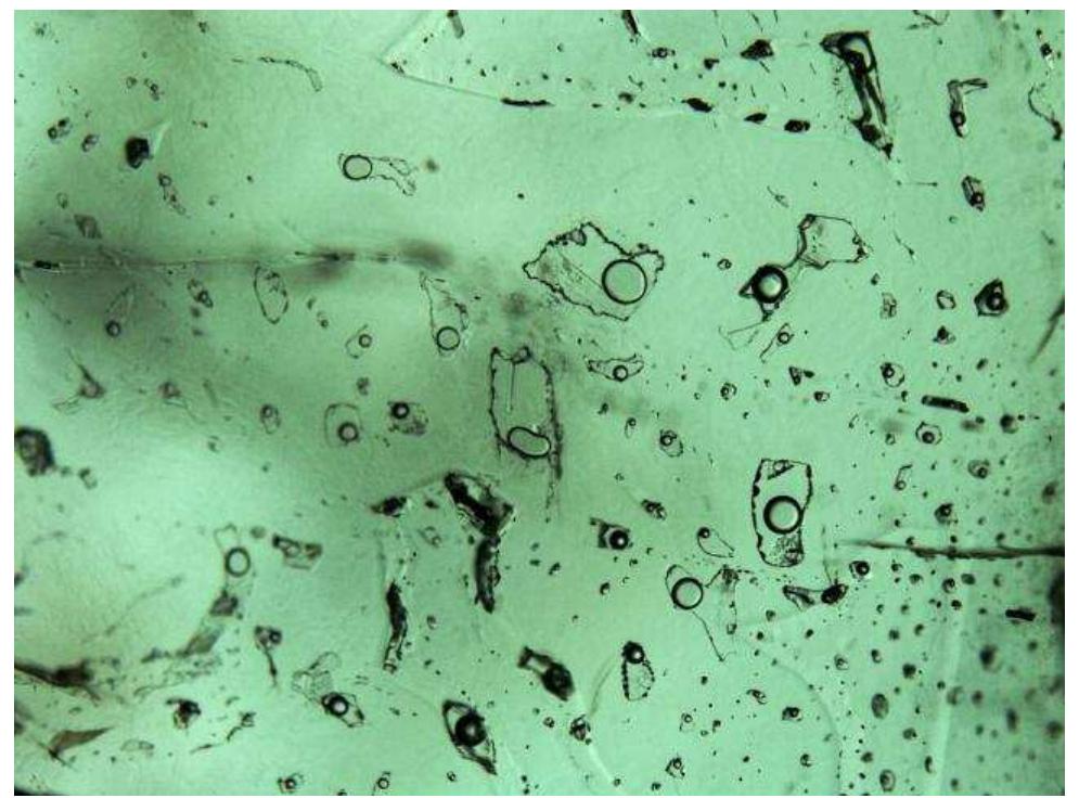 Irregularly shaped multiphase inclusions in emeralds from
