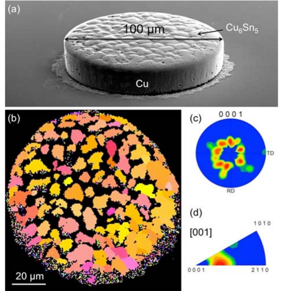 A) the sem image from plane-view of cu¢sns; b) the
