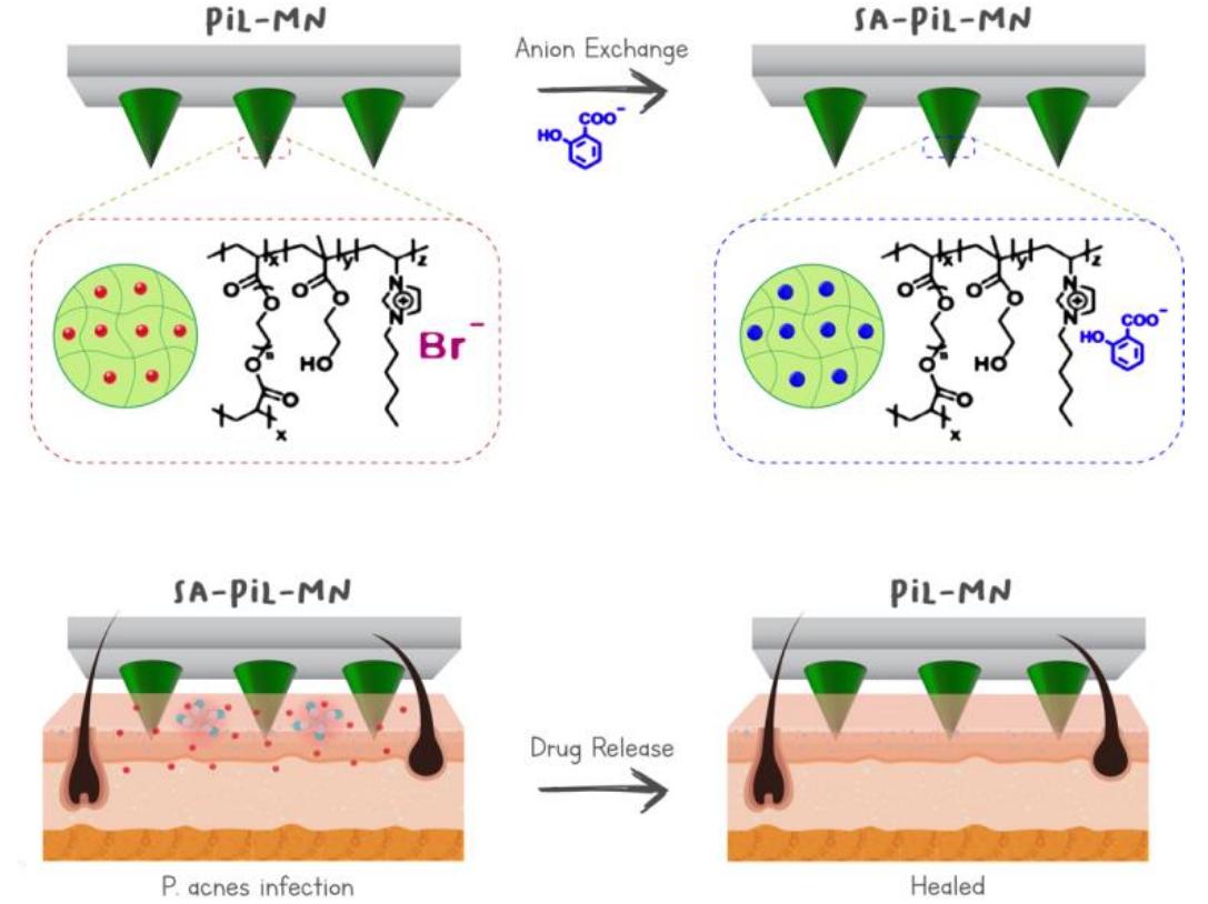 Illustration of sa-pil-mns preparation and sa-pil-mns