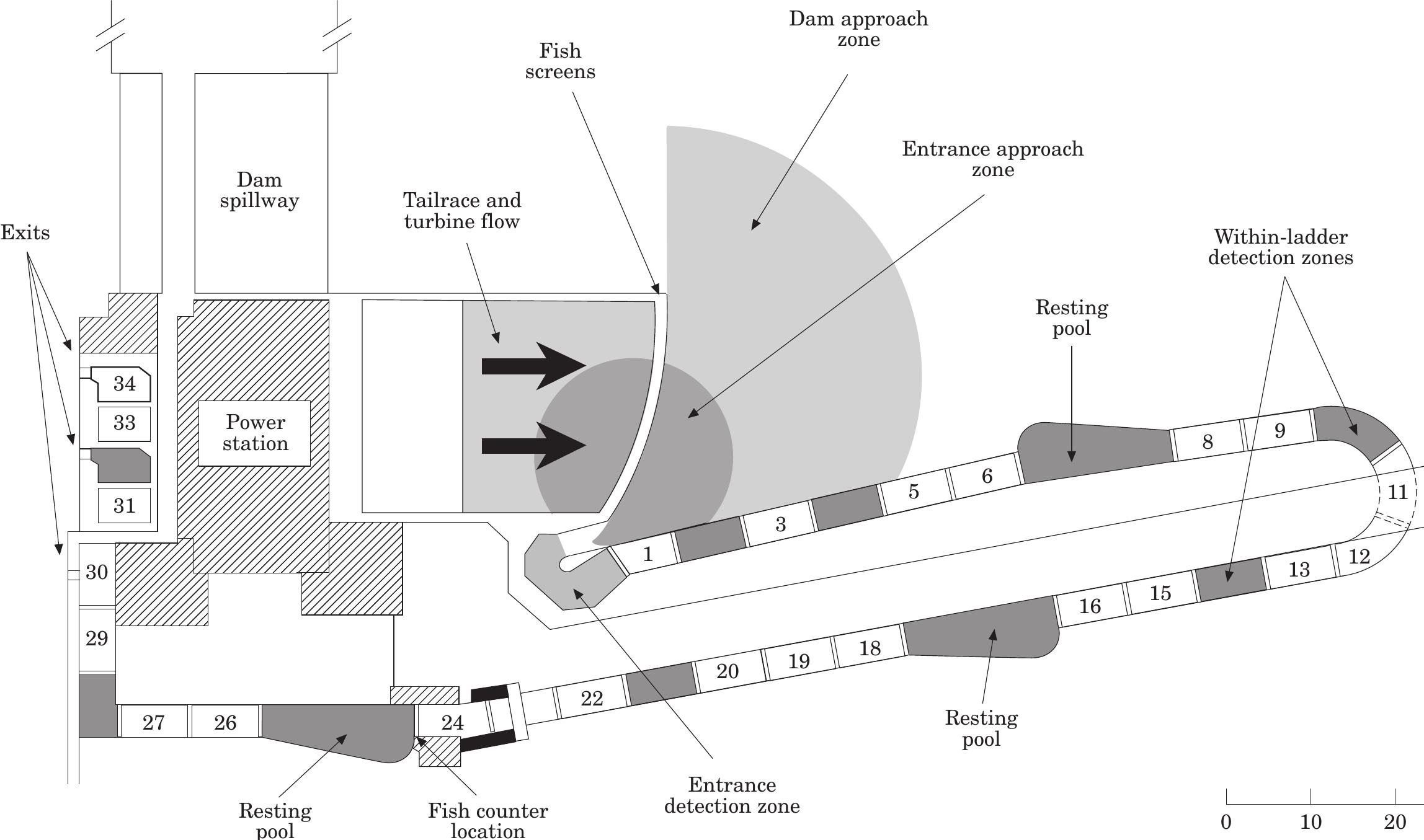 Fic. 2. plan diagram of pitlochry dam and fish ladder,