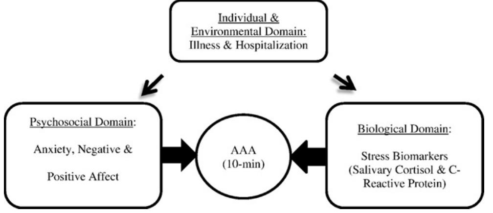 Expanded biobehavioral model (adapted from kang et al.,