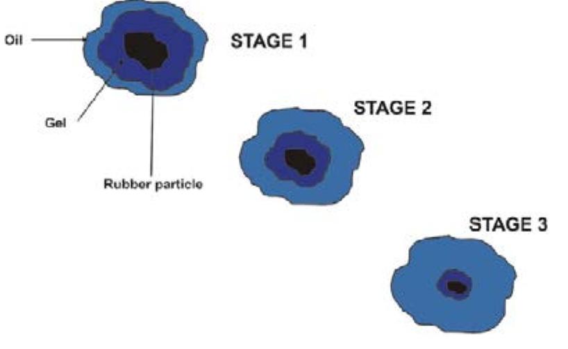 Figure depicting the stages of rubber crumb digestion in