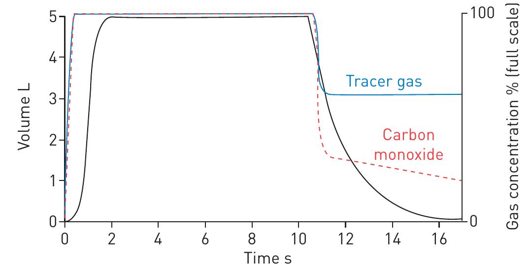 (PDF) 2017 ERS/ATS standards for single-breath carbon monoxide uptake ...