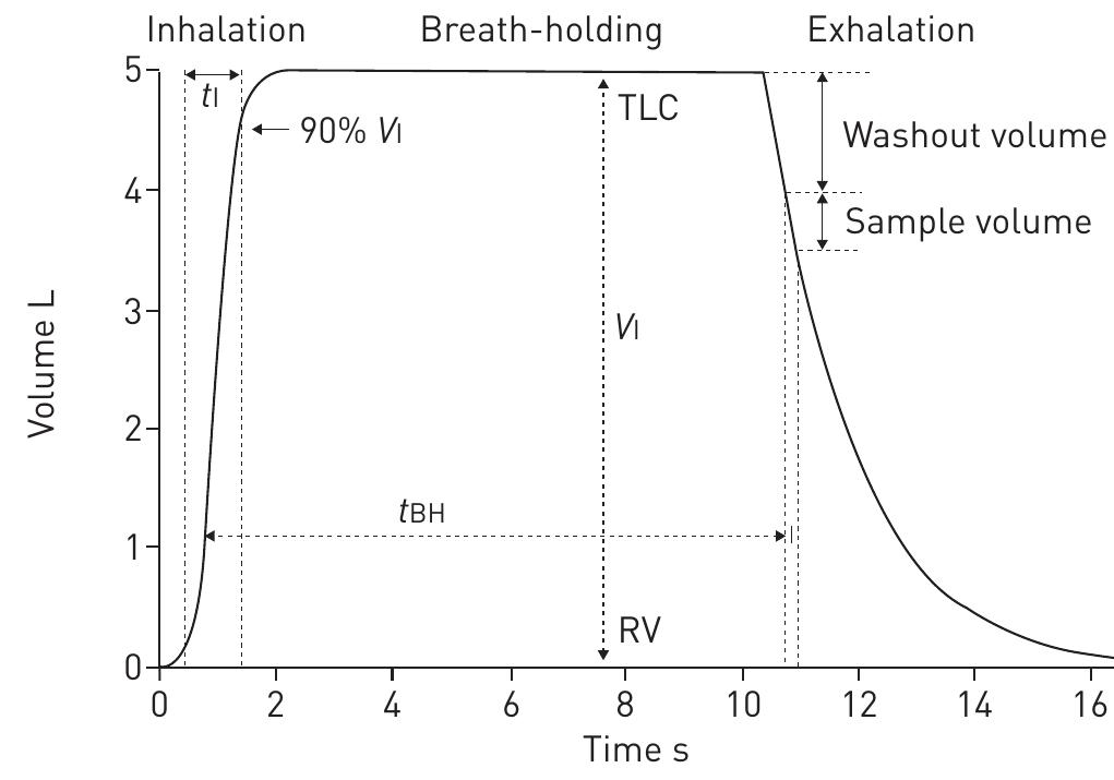 (PDF) 2017 ERS/ATS standards for single-breath carbon monoxide uptake ...