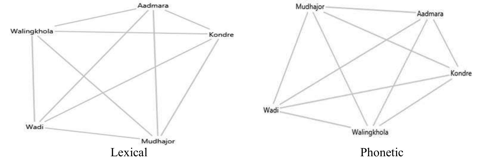 Presents the similarity matrix network graph lexically and