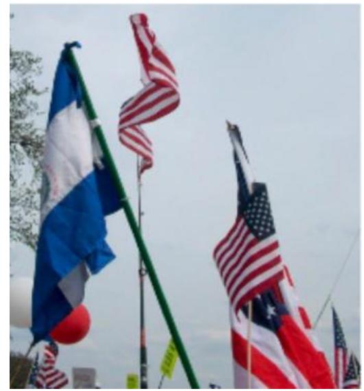 As shown in example 5, this created a dual-identifying